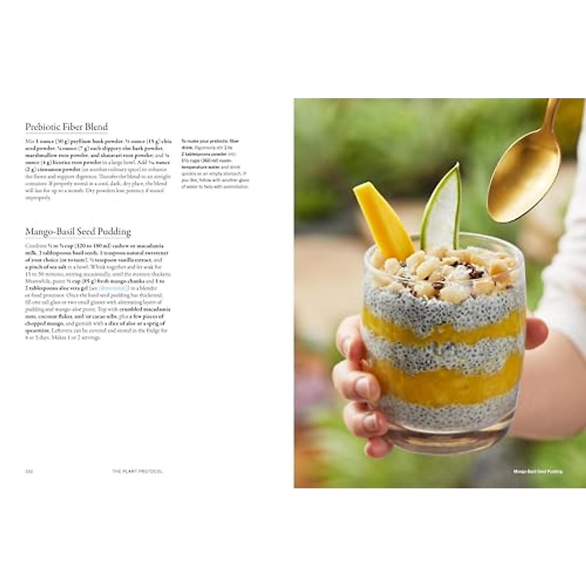 The Plant Medicine Protocol: Unlocking the Power of Plants for Optimal Health and Longevity