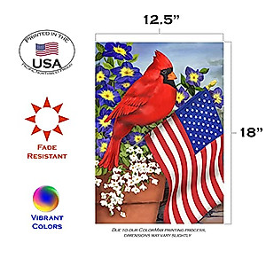 Toland Home Garden 1112538 American Cardinal Patriotic Flag 12x18 Inch Double Sided Patriotic Garden Flag for Outdoor House Bird Flag Yard Decoration