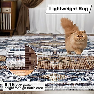 Washable Rug Living Room Rugs: 5x7 Area Rug Large Boho Medallion Distressed Carpets Indoor Soft Floor Anti Slip Carpet for Under Dining Table Bedroom Farmhouse Home Office - Blue/Orange Brown