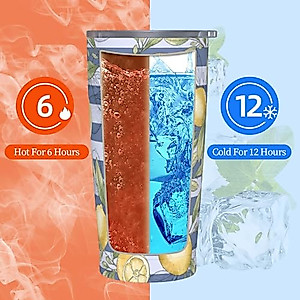 IYERSKD Fruit Lemon 20 oz Stainless Steel Tumbler Vacuum Insulated Leakproof Travel Mug for Car Office Gym