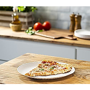 Comfy Package [9 Inch - 200 Count Disposable Uncoated Paper Plates - White