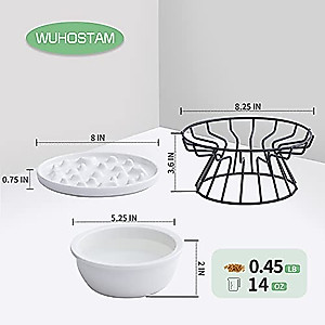 Elevated Slow Feeder Bowl for Cats and Small Dogs with Stand and Water Bowl, Ceramic Raised Cat Puzzle Food Plate, Healthy Eating Anti Vomiting Pet Feeding Dish, Against Bloat, Indigestion, White