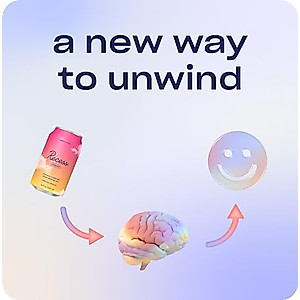 Recess Mood Magnesium Supplement Drink Calming Beverage, 12 Ounce, Pack of 12 (Variety Pack, 12 Pack)