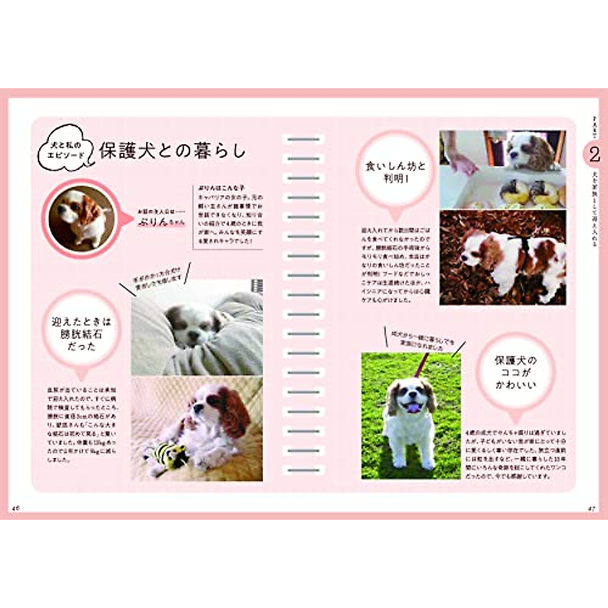 犬のいる暮らし 一生パートナーでいるために知っておきたいこと