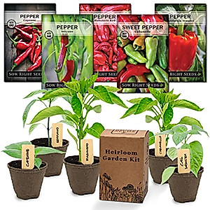 Sow Right Seeds - Heirloom Pepper Starter Kit - 5 Seed Packets, Pots, Potting Soil, Plant Markers - Start Habanero Bell Cayenne Serrano and Cubanelle Seeds Indoors - Non GMO Great Gift