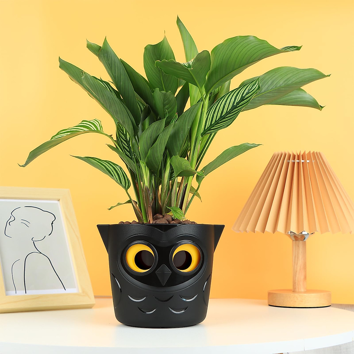 Restmo 3 Pack Plant Pots, 5” Self Watering Planters for Indoor Plants, Plastic Flower Pots with Owl Eye Water Level Indicator, for House Plants, African Violet, Succulents, Monstera, Dark Black