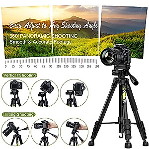 Endurax 66 Tripod for Camera and Phone Camera Tripod Stand with Quick Release Plate Compatible with iPhone Nikon Canon DSLR Heavy Duty and Sturdy