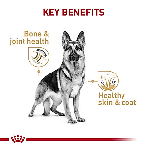 Royal Canin German Shepherd Loaf in Sauce Canned Dog Food, 13.5 oz can (12-count)