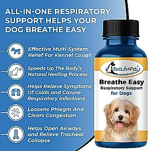 BestLife4Pets Breathe Easy Respiratory Support for Dog - All-Natural All-in-One Pet Supply for Natural Relief for Kennel Cough, Runny Nose, Sneezing and Sinus Congestion - Easy to Use Pills