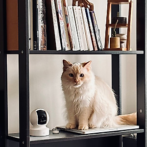 Kasa Indoor Pan/Tilt Smart Security Camera, 1080p HD Dog Camera 2.4GHz with Night Vision, Motion Detection for Baby and Pet Monitor, Cloud & SD Card Storage, Works with Alexa & Google Home (EC70)