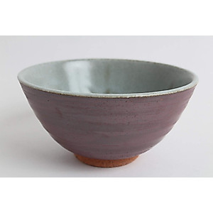 Mino ware Japanese Pottery Rice Bowl Matte Wine Red Akagusuri made in Japan (Japan Import) KSC005