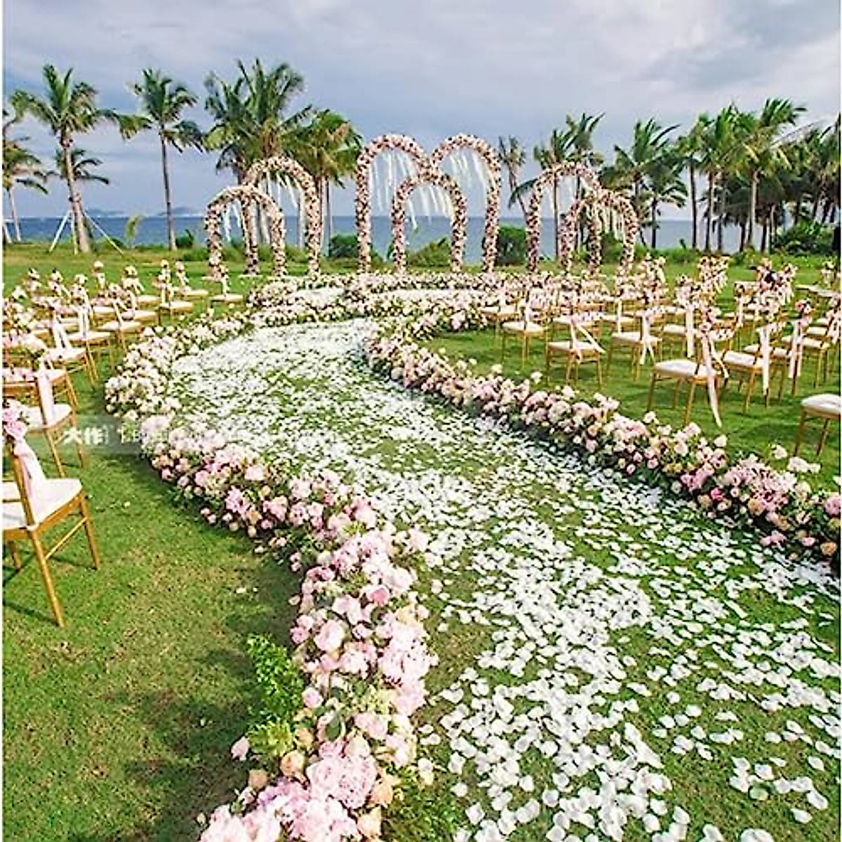 JUPOZOP 1000 PCS Artificial Fake Rose Petals for Wedding, Romantic Night for Her/Him Set, Engagement, Flower Decorations, Event, Party, in Bulk（Ivory）