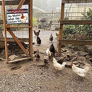 ANJOOY Metal Tin Signs Chicken Warning Sign Danger Keep Gate Closed - No Matter What The Chickens Say - Funny Gag Gifts for Chicken Fan Lovers Indoor Outdoor Chickens Plaque Wall Decor Art 8"x12"