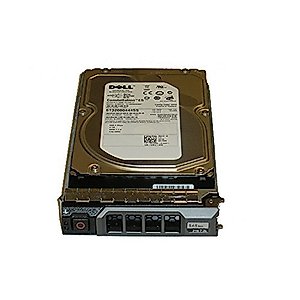 Dell 529FG 4TB 7.2K 3.5 SAS 6GBPS Hard Drive (Renewed)