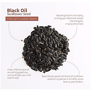 Black Oil Sunflower Seeds for Birds (10 Pound), Birds Seed for Outside Wild Birds, Birds Love Black Oil Sunflower Seeds for Their high-Fat Content, Nutrition Filled Bird Seed for Outside feeders