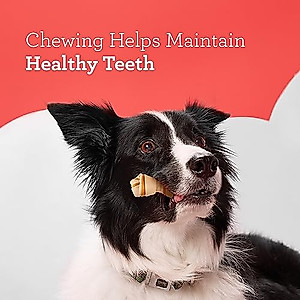 DreamBone Sweet Potato Dog Chew (24 Piece/Pack), Mini