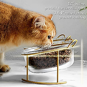 BNOSDM Elevated Cat Bowls, Glass Raised Pet Bowl, 12° Tilted Double Dishes Set for Food and Water, Transparent Kitty Feeding Station with Gold Iron Stand for Indoor and Outdoor Kitten