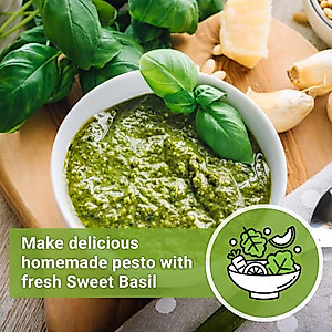 Sow Right Seeds - Genovese Sweet Basil Seed for Planting - Heirloom, Non-GMO with Instructions to Plant and Grow a Kitchen Herb Garden - Great Gardening Gift - Minimum of 500mg per Packet (1)