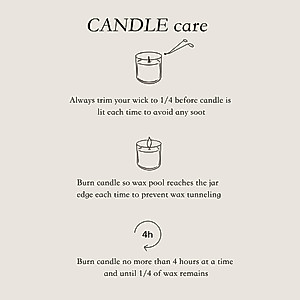 FRANIC White Jasmine Scented Candle, 17.6oz 80 Hours Burn Time, 100% Cotton Wick Uniform Burning, Natural Soy Wax Scented Candle for Home Scented Perfect for Christmas, Birthday, Home