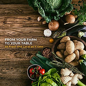 La Main Verte Potato Growing Containers, [5 Pack] 10 Gallon Potato Bags for Growing Potatoes, Non Woven Potato Pots for Growing Potatoes with [Bonus] Garden Gloves for Tomato, Vegetable and Fruits