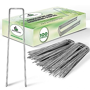 Gray Bunny Landscape Staples, 100 Pack, 6 Inch (15.2 cm) 11 Gauge Garden Stakes, Rust Resistant Galvanized Steel Ground U Shaped Pins to Secure Lawn Fabrics Weed Barrier Covers & Tubing