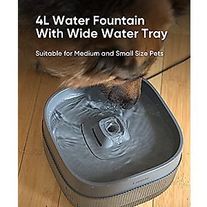 Loomla Dog Water Fountain, 135oz/4L Dog Water Bowl Dispenser and Cat Water Fountain, Automatic Pet Water Fountain for Small to Medium Dogs, Cats & Other Pets (Grey)