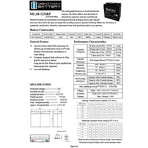 Mighty Max Battery 12V 18AH SLA Replacement Battery for Briggs Stratton 193463GS