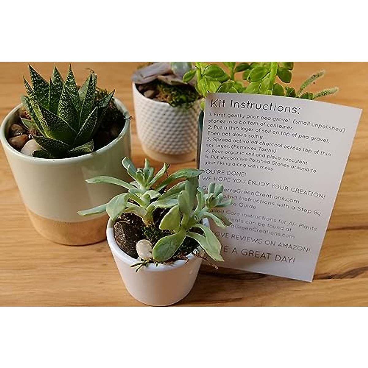 TerraGreen Creations Succulent Planter Kit with Soil, Gravel, Pebble, Moss, Horticulture Charcoal, Supplies For Fairy Gardens, or Cactus - Create Your Own Terrarium