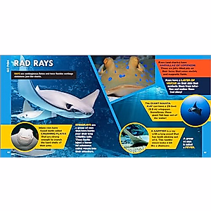 The Fascinating Ocean Book for Kids: 500 Incredible Facts! (Fascinating Facts)