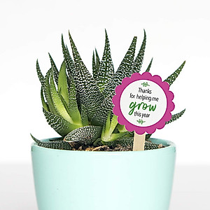 Printworks White Cardstock, Standard, 67 lb. Vellum, 92 Bright, 250 sheets, 8.5 x 11, For Office, Home & School Printing, Craft Projects (00564)