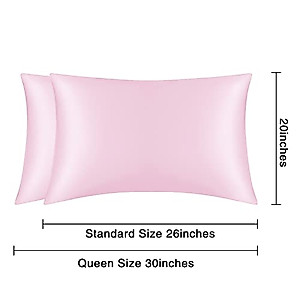 Satin Pillowcase for Hair and Skin, 2 Pack Pink Silk Pillowcase Standard Satin Pillowcase with Envelope Closure(Pink, 20x26 inches)
