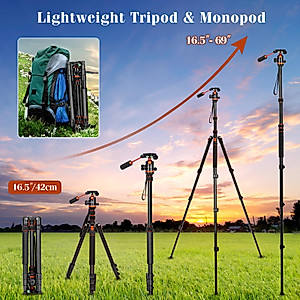 2 in1 Lightweight Video Camera Tripods • 68" Tripod for Camera and Camcorder • 360° Ball Head Tripod with Removable Handle • Extra 1/4" QR Plate and Phone Holder • Compatible with Canon Nikon Sony