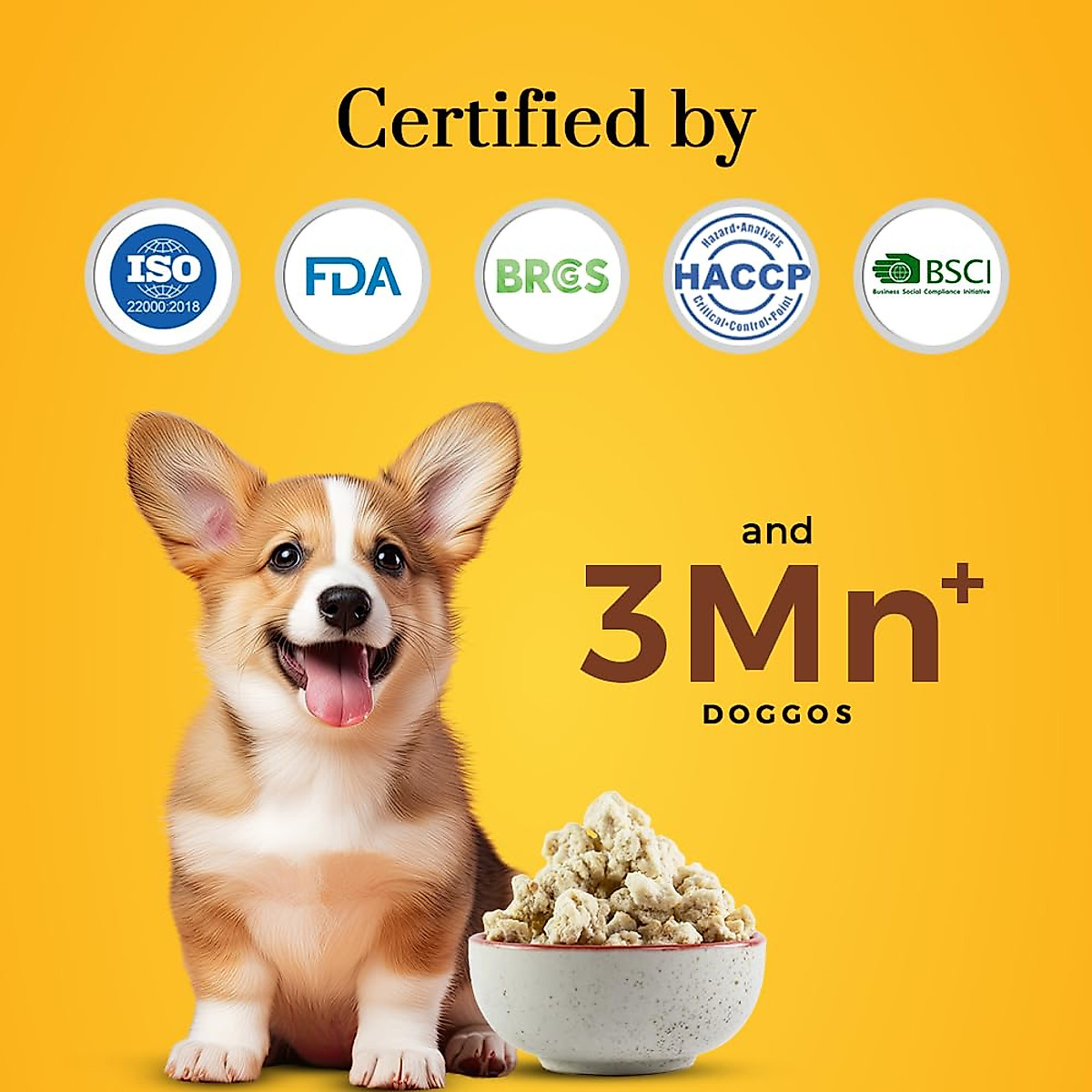 Dogsee Crunch Coconut Training Treats for Dogs 1.76oz/50g | Made from Real Coconuts | for Better Digestive Health | Freeze-Dried Training Treats