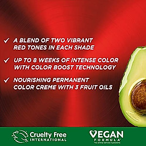 Garnier Nutrisse Ultra Color Nourishing Bold Permanent Hair Color Creme, RC1 Med Copper Red, Includes Fruit Oil Ampoule and After Dye Hair Mask, 2 Kit