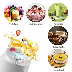 15 Oz Portable Blender Optional Double Cup(Big+Small),USB Rechargeable with 10-Blades, Blender for Shakes and Smoothies, Complementary Food,Crush Ice,Stainless Steel Blades,For Outdoor and Travel