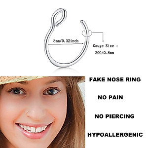 20G Fake Nose Ring Hoop Hypoallergenic,14K Gold Clip on Nose Ring No Piercing Needed Faux Nostril Piercing Jewelry,Nose,Set of 5Pcs (14K Gold)