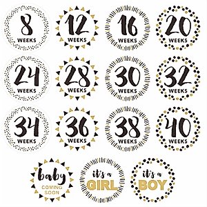 Hycodest Pregnancy Milestone Stickers Photo Record Baby Bump Dynamic Weekly Pregnancy Growth Sticker, Set of 15 Stickers