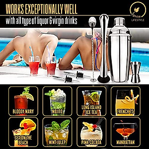 Ignite Lifestyle Cocktail Shaker Set - 24oz Martini Shaker with Built-in Strainer, Recipe Book, Muddler, Mixing Spoon, Measuring Jigger, 2 Liquor Pourers - Drink Shaker, Bartender Kit for Home Bars