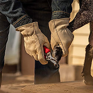 Wells Lamont Leather Work Gloves with Reinforced Palm, DIY, Yardwork, Construction, Motorcycle, XXX-Large (Wells Lamont 1130XXX) , Tan Beige