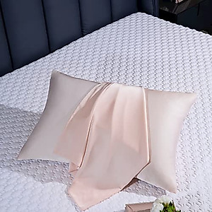 BEIJOEY 100% Mulberry Silk Pillowcase for Hair and Skin,with Hidden Zipper,Both Sides 19 Momme 600 Thread Count Natural Silk Pillow Cover,Soft Breathable Smooth (Light Pink, Standard 20''x26'')