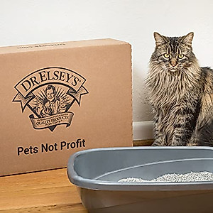 Dr. Elsey's Premium Clumping Cat Litter - Classic - 99.9% Dust-Free, Low Tracking, Hard Clumping, Superior Odor Control, Unscented & Natural Ingredients