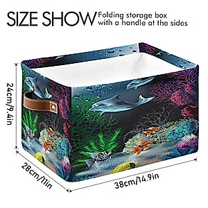 Ocean Dolphin Coral Fish Large Storage Basket Collapsible Storage Bin Organizer Cube Laundry Hamper for Clothes Bedroom Nursery Toys Shelf College Dorm