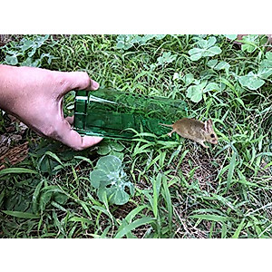 Humane Mouse Trap - Mouse Traps That Work – Best Mouse, Mice and Rat Trap Plastic Traps Live Catch and Release Rodents, Safe Around Children and Pets (2Packs)