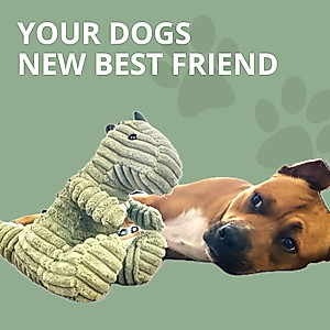 MORELIFE Naughty Dogs Dinos Plush Squeaky Toy | for Small Medium Large Dogs, All Dog Breeds, Green