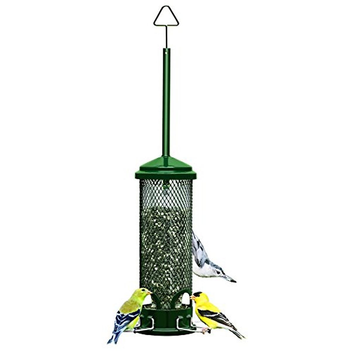 Squirrel Buster Mini Squirrel-Proof Bird Feeder w/4 Metal Perches, 0.98-Pound Seed Capacity & Wagner's 76027 Black Oil Sunflower Wild Bird Food, 25-Pound Bag