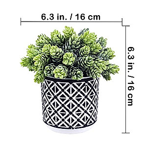 Winlyn 3 Pcs Small Potted Succulents Plants Artificial String of Pearls Aloe Hops Succulents in Black Geometric Concrete Pots for Gifts Modern Home Bathroom Window Table Indoor Outdoor Greenery Décor