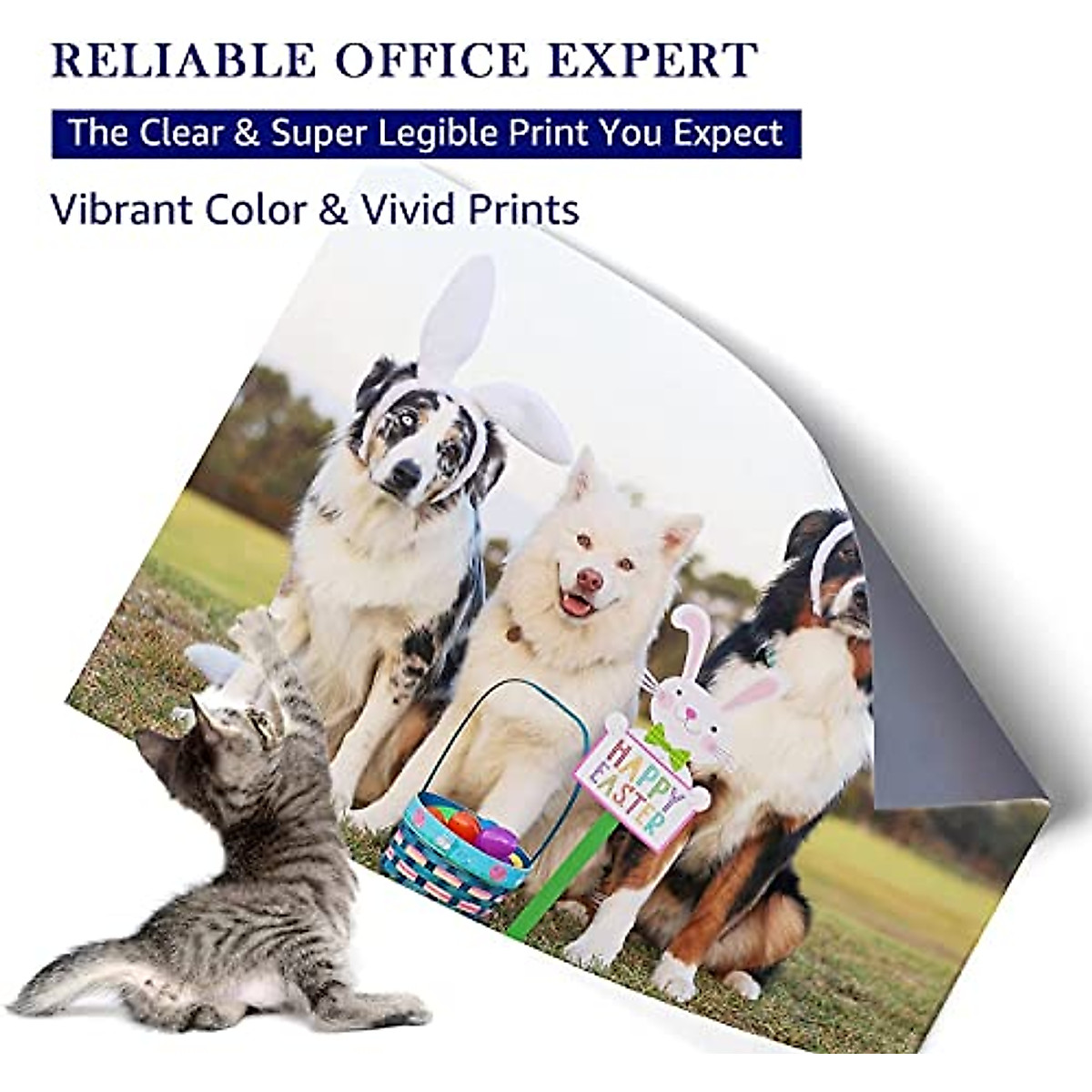 Ink Cartridge for HP 61XL 61 XL Ink Cartridge Combo Pack Remanufactured for HP Envy 5530 Ink Cartridges for HP Envy 4500 5535 OfficeJet 4630 2620 4635 DeskJet 1000 1010 (1 Black, 1 Tri-Color)