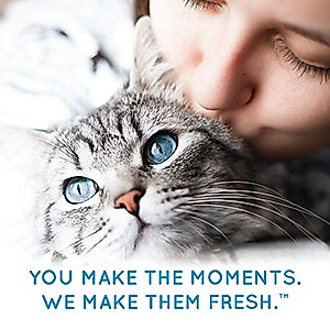 TropiClean Oxymed Waterless Cat Shampoo and Conditioner, A No-Rinse Cat Wash for Hairball Relief 7.4 Ounce