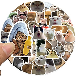 200 Pcs Cute Cat and Dog Stickers, Cat Funny Meme Waterproof Stickers,Vinyl Stickers for Water Bottle,Laptop,Phone,Skateboard Stickers for Kids Aldult Teens Girls (CDE)