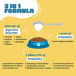 Dog Probiotics, Cat Probiotics, Probiotics for Dogs, Probiotics for Cat, 5 Billion CFUs + Prebiotics + Digestive Enzymes for Digestive Health & Immune Support, Skin & Coat, Dog Probiotic, 90 Grams
